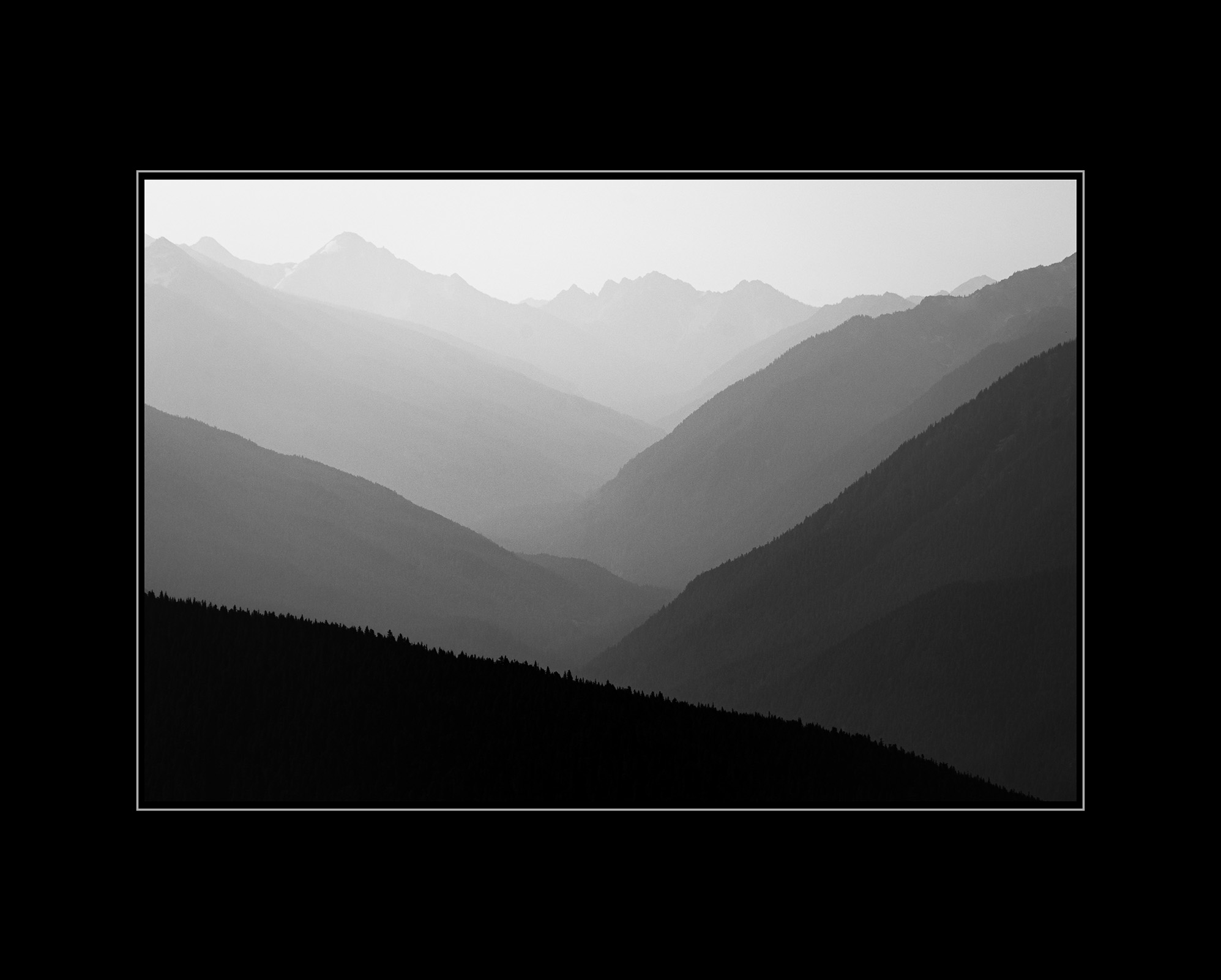 Print of the Year 2020 – DRPP-NY